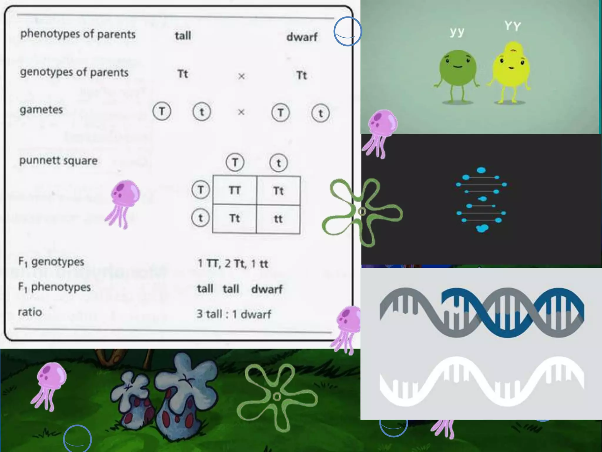 spongebob presentation.pptx
