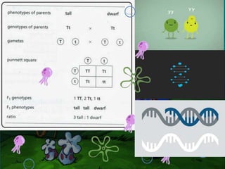 spongebob presentation.pptx