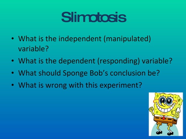 Sponge Bob Science Investigations Regular | PPT