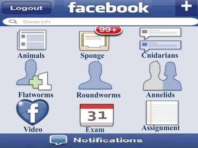 Sponge, cnidarians, flatworms, roundworms, segmented worms | PPT