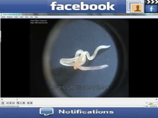 Sponge, cnidarians, flatworms, roundworms, segmented worms | PPTX