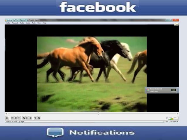 Sponge, cnidarians, flatworms, roundworms, segmented worms | PPT