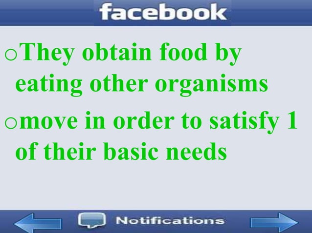 Sponge, cnidarians, flatworms, roundworms, segmented worms | PPT