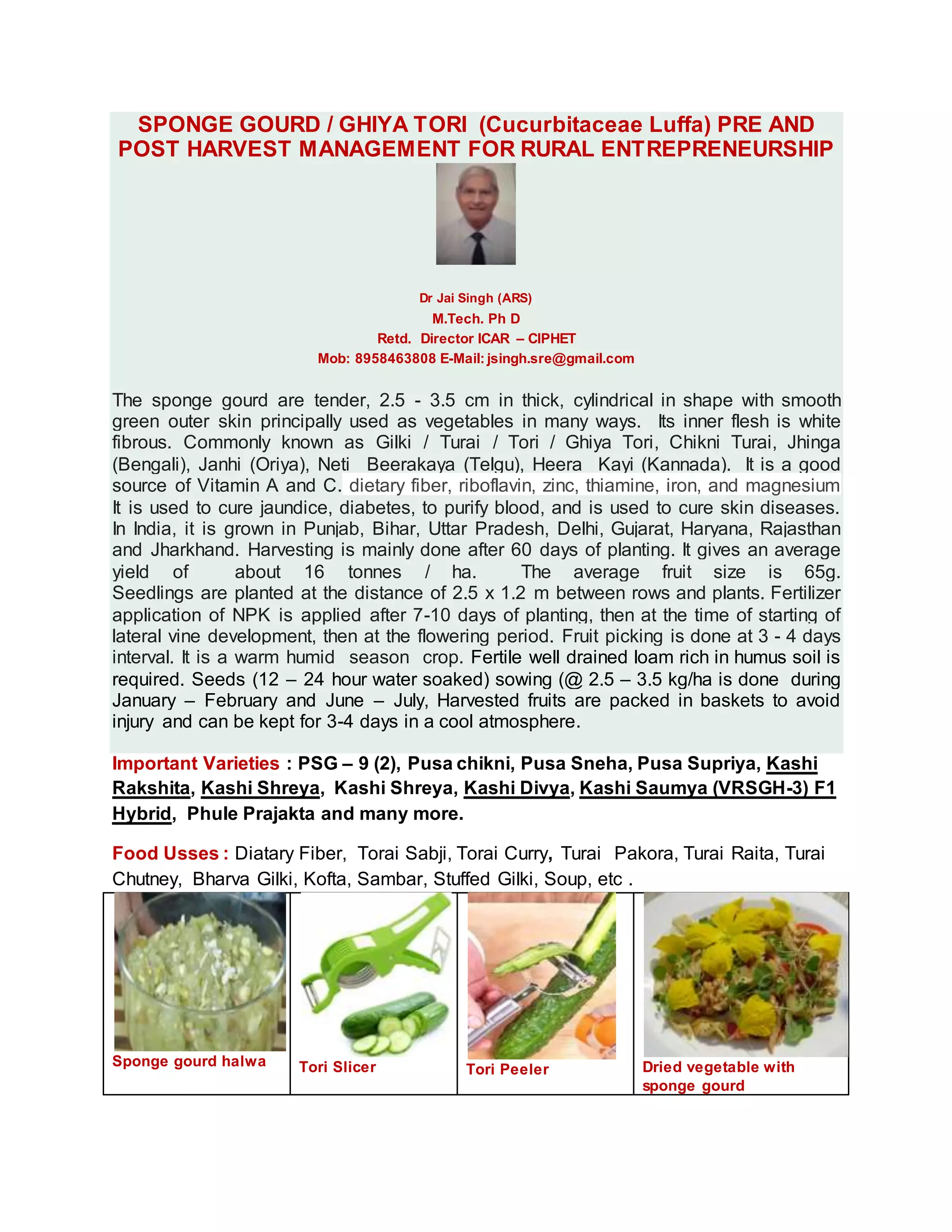 SPONGE GOURD / GHIYA TORI (Cucurbitaceae Luffa) PRE AND POST HARVEST ...