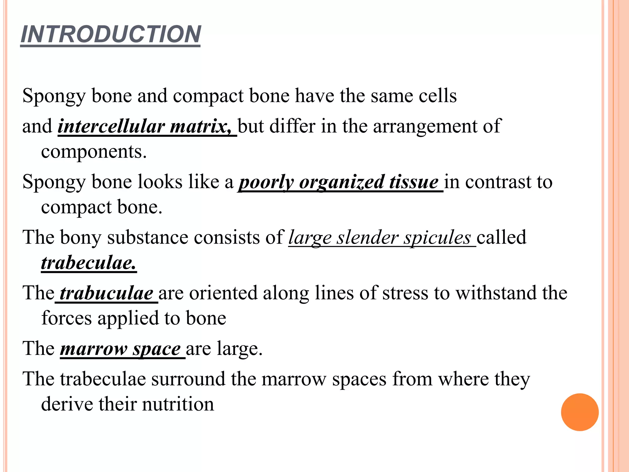 Spongy bone | PPTX