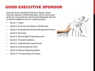 Project Sponsorship | PPTX