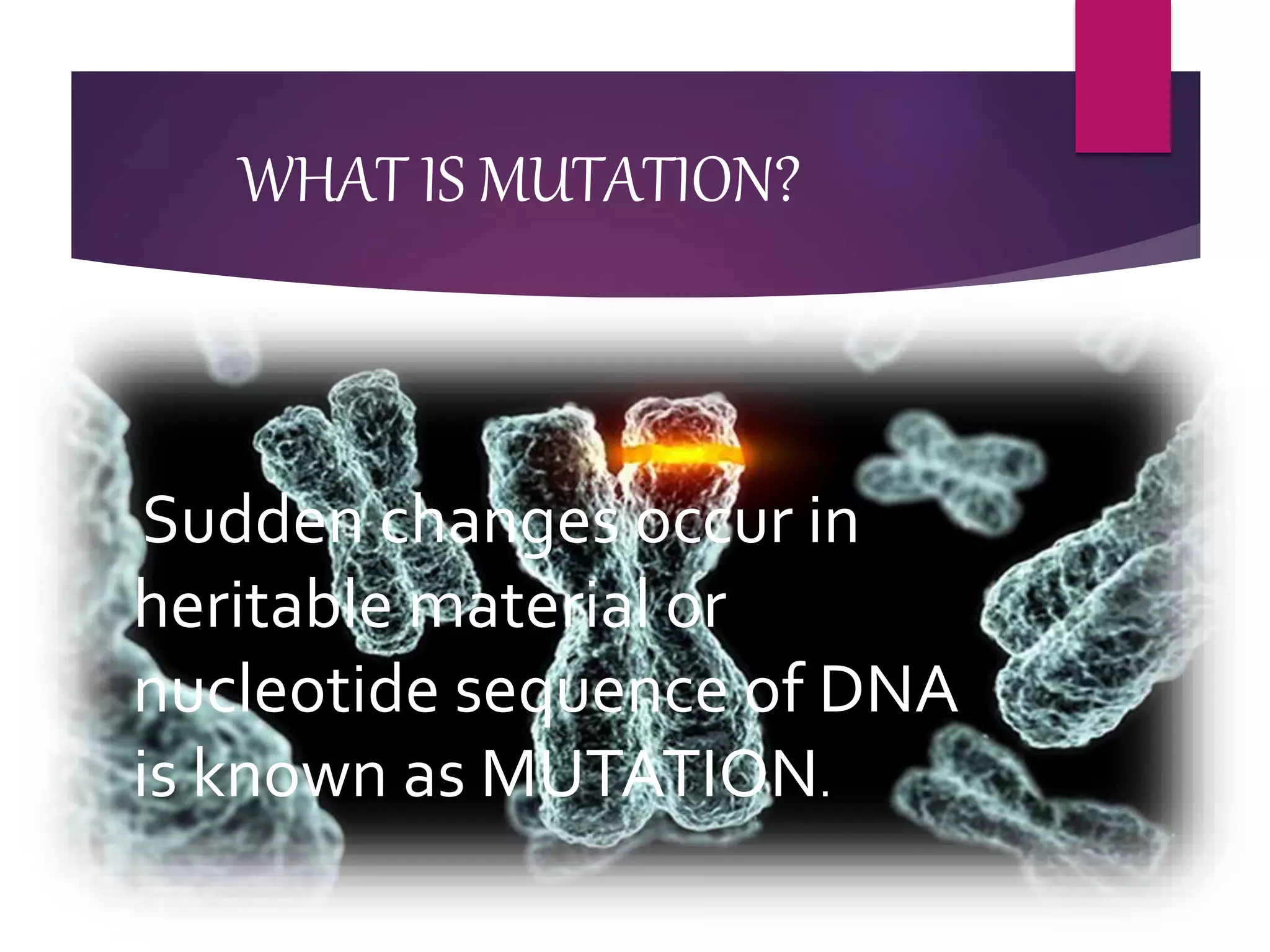 Spontaneous mutation | PPTX