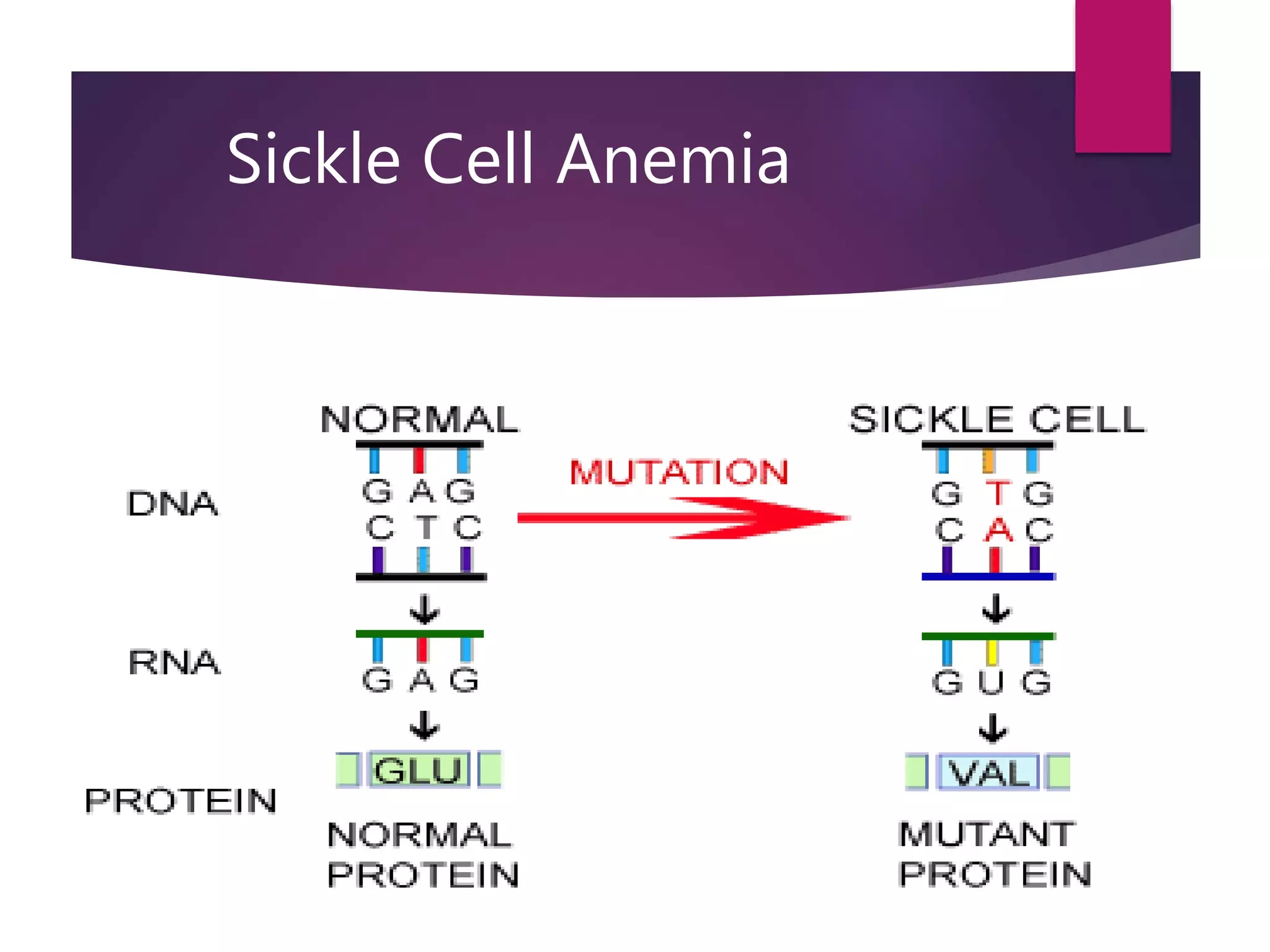 Spontaneous mutation | PPTX