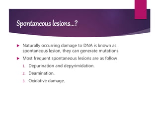 Spontaneous mutation | PPTX