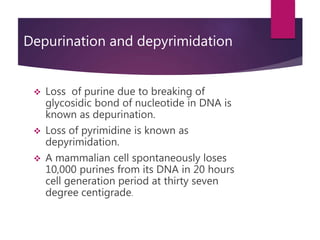 Spontaneous mutation | PPTX