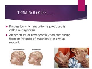 Spontaneous mutation | PPTX