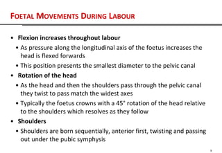 Spontaneous Vertex Delivery - Normal Childbirth | PPTX