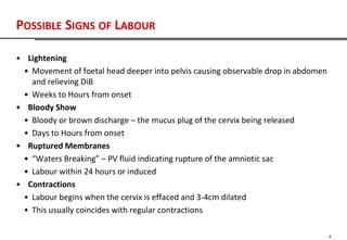 Spontaneous Vertex Delivery - Normal Childbirth | PPTX