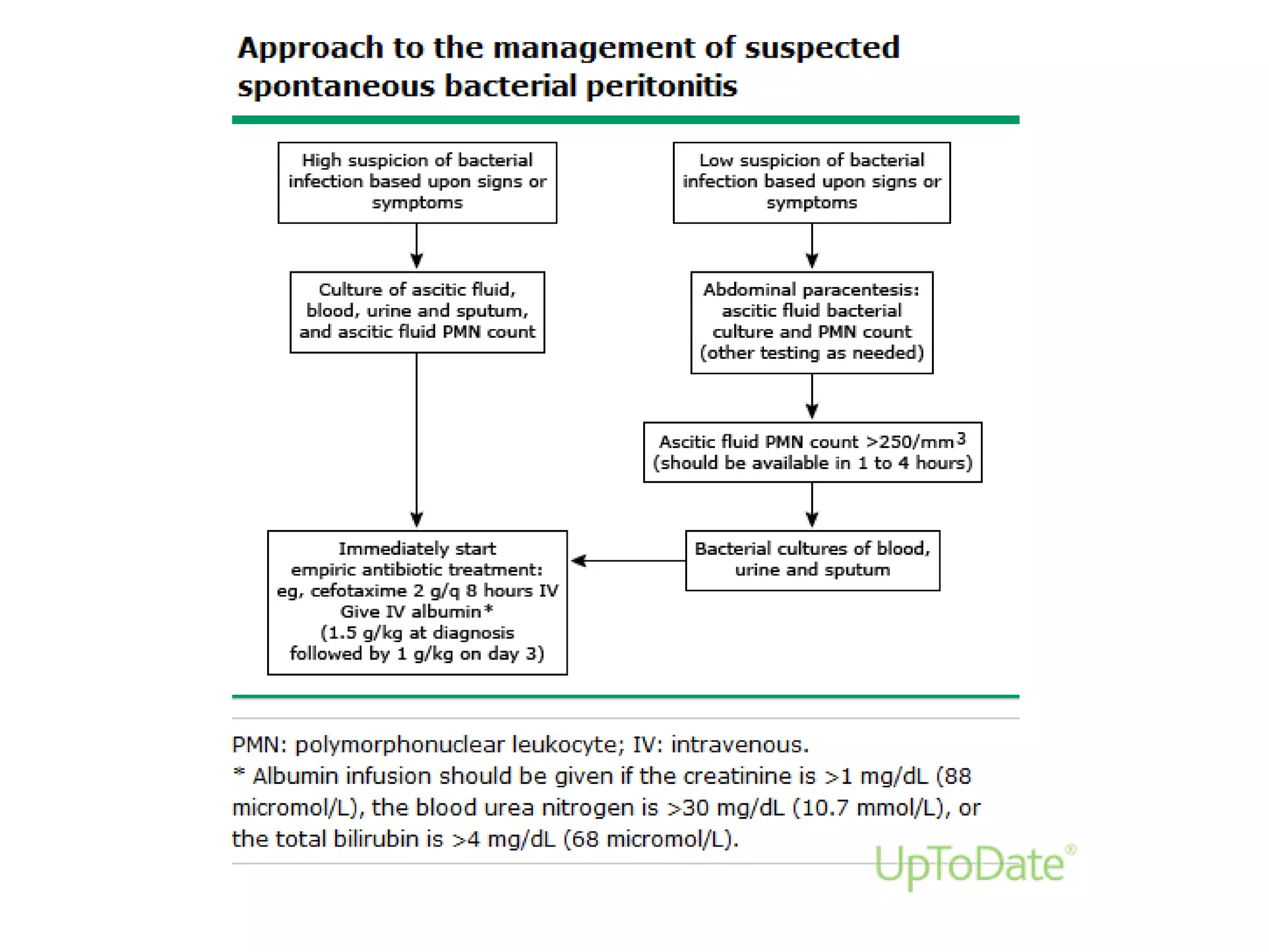 Spontaneous Bacterial Peritonitis (SBP) | PPTX