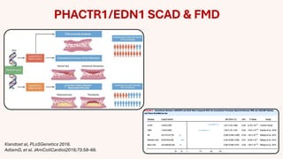 Spontaneous Coronary Artery Dissection (SCAD) | PDF