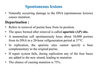 Spontaneous mutation | PPTX