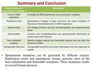 Spontaneous mutation | PPTX