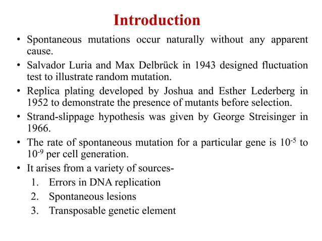 Spontaneous mutation | PPTX
