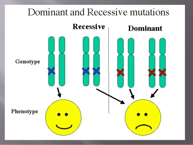 Spontaneous mutations in microorganisms