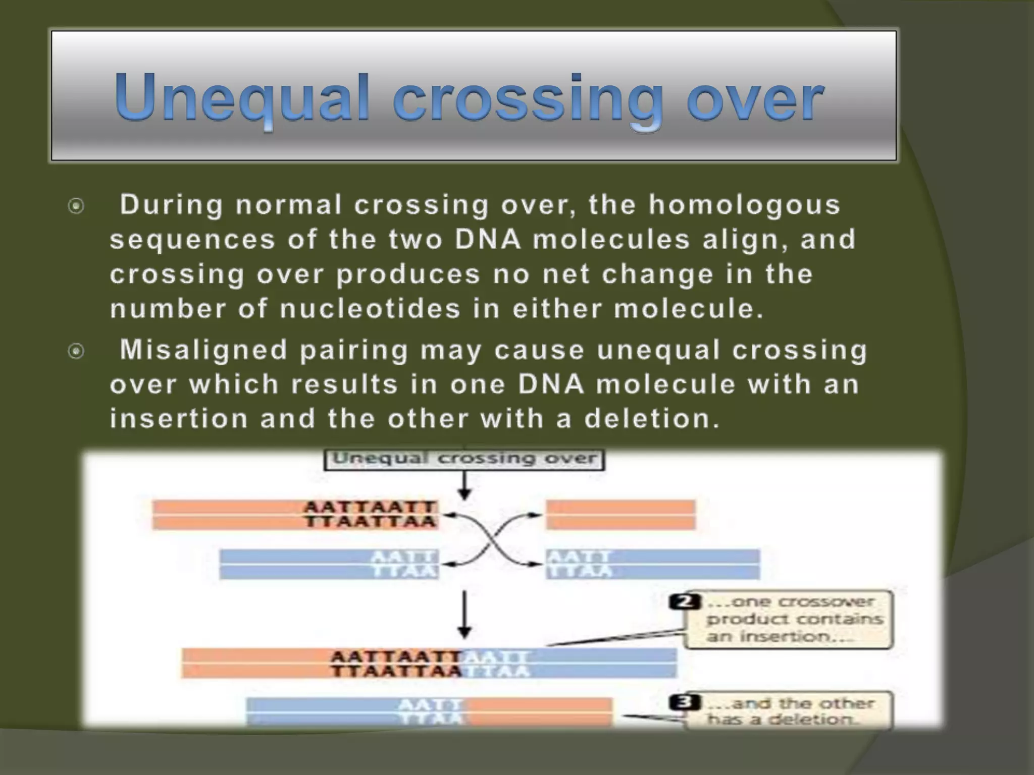 Spontaneous vs induced_mutation_ slideshare | PPTX