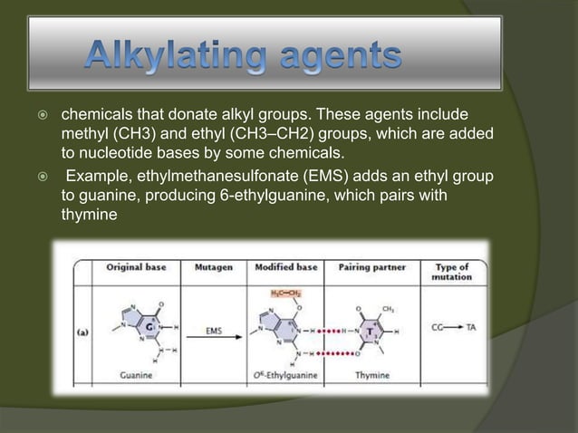 Spontaneous vs induced_mutation_ slideshare | PPTX