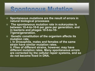 Spontaneous vs induced_mutation_ slideshare | PPTX