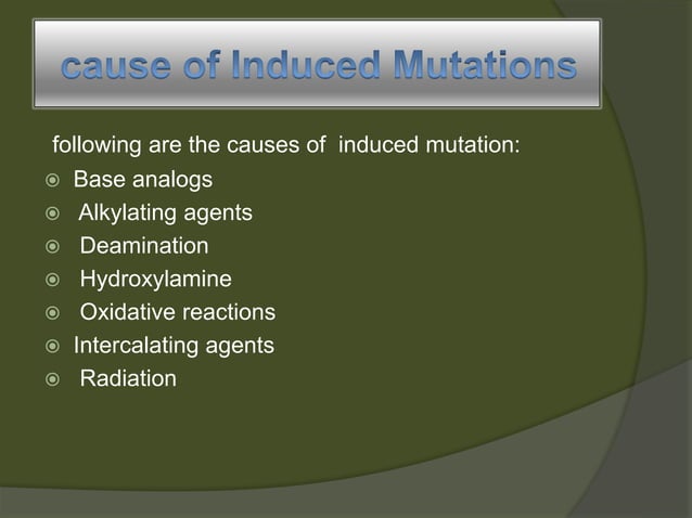 Spontaneous vs induced_mutation_ slideshare | PPTX