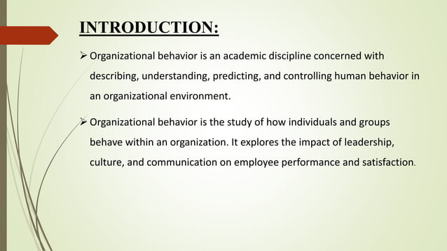 organizational behavior- a background(spm) | PPT