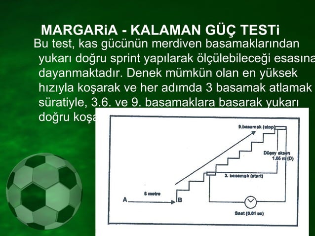 Sporda performans testleri | PPT