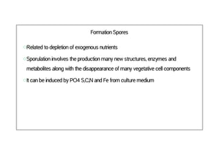 spores.pdf