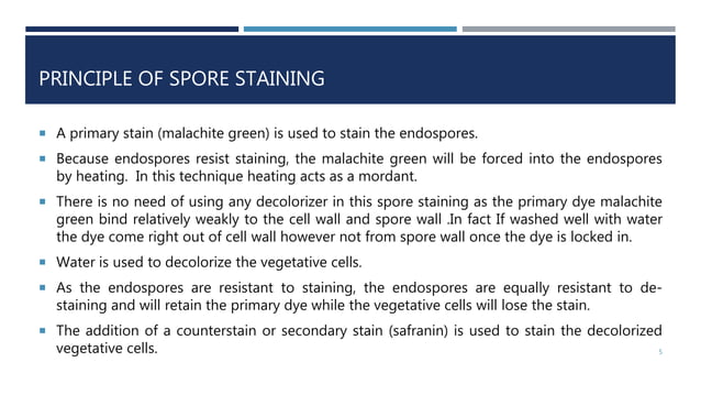Spore staining | PPTX | Gardening | Home & Garden