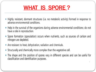Spore staining is a technique used to identify bacterial endospores, which are dormant ...