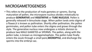 Sporogenesis and gametogenesis | PPTX