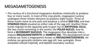 Sporogenesis and gametogenesis | PPTX
