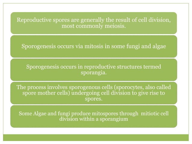 Sporogenesis | PPTX | Reproductive Health | Diseases and Conditions