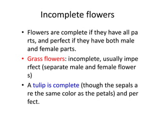 Sporogenesis& Gametogenesis.pptx