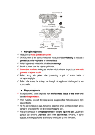 Sporogenesis, Gametogenesis, Fertilization & Seed Development.pdf