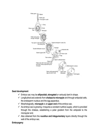 Sporogenesis, Gametogenesis, Fertilization & Seed Development.pdf