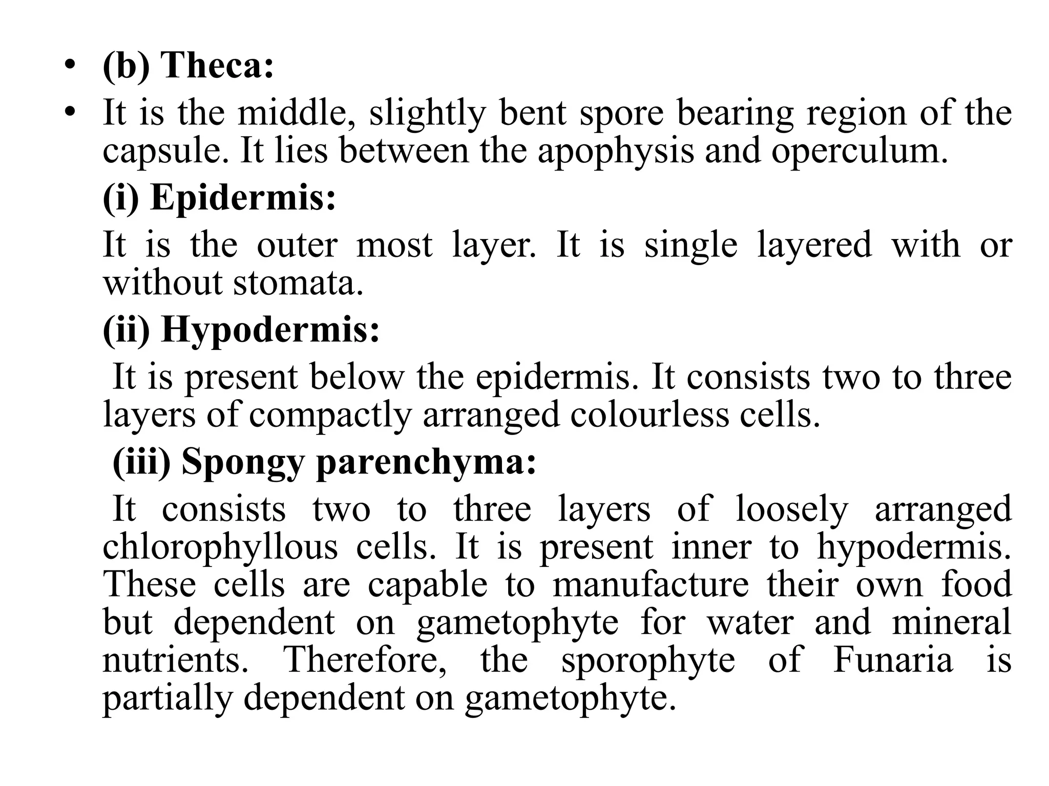 Sporogonium of funaria | PPTX