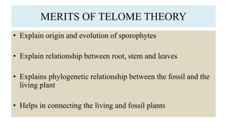 Sporophytic evolution of pteridophytes | PPTX