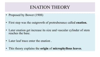 Sporophytic evolution of pteridophytes | PPTX