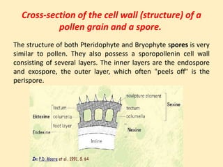 Sporopollenin- nature, properties and uses | PPTX