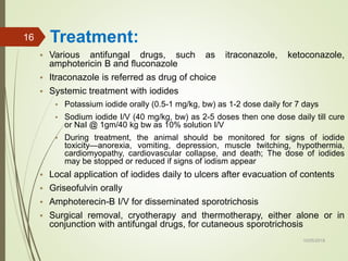 Sporotrichosis | PPTX
