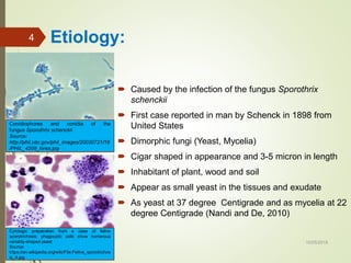 Sporotrichosis | PPTX