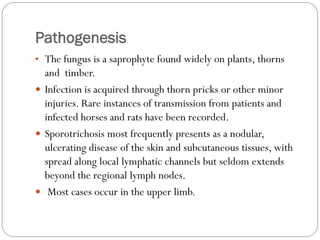 Sporotrichosis | PPT