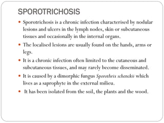 Sporotrichosis | PDF