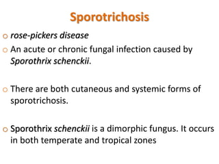 Sporotrichosis & chromoblatomycosis | PPTX