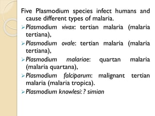 Sporozoa.paraditic infections affecting g | PPT