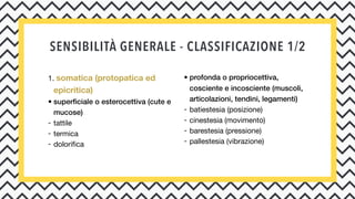 Sport e Sensibilità | PDF