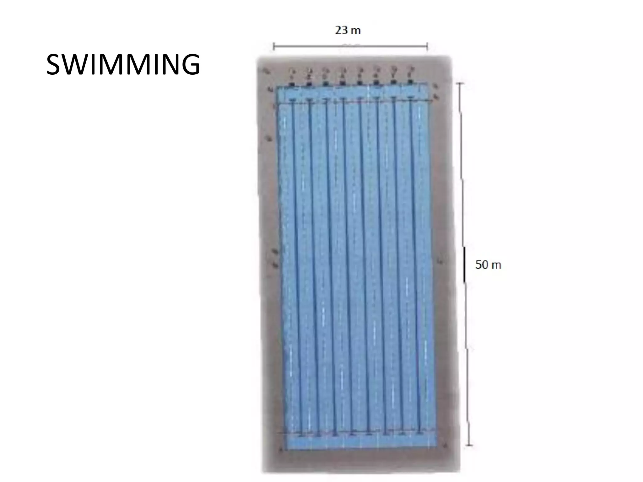 Sport field dimensions - Dimensiones de campos de deporte | PPT